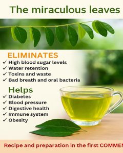 What Happens When You Use Mango Leaves? Nature’s Miracle in a Leaf ...