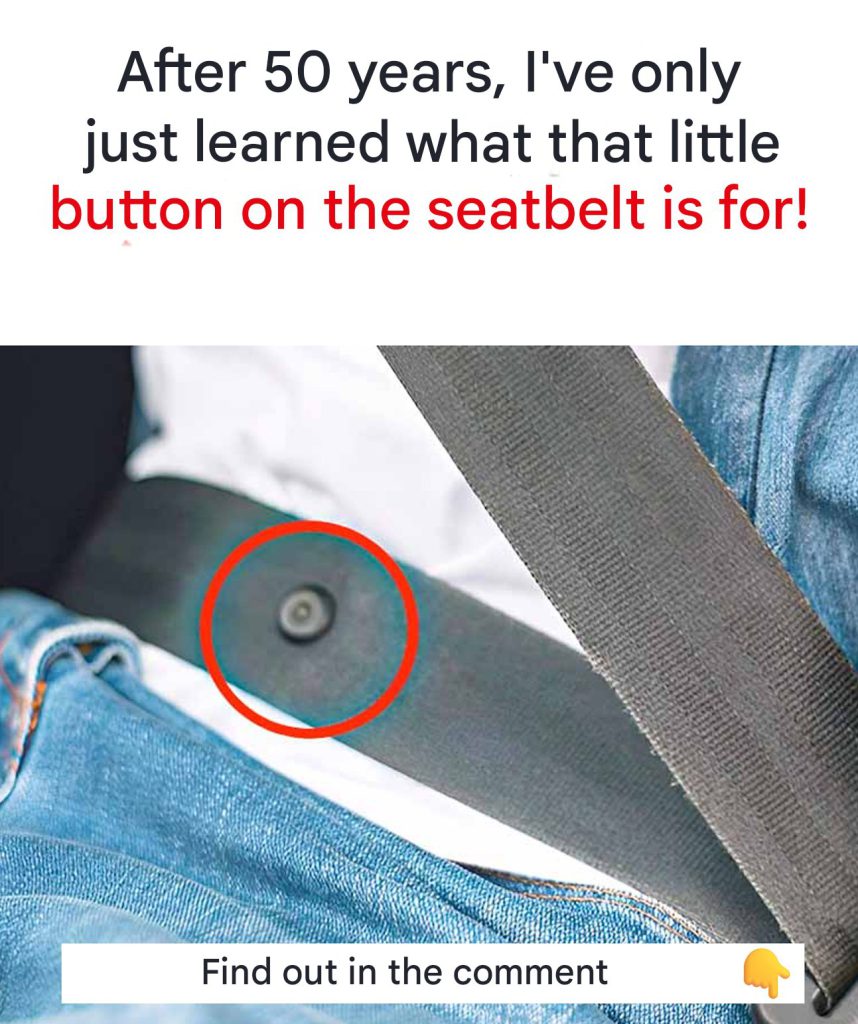 This is what the small button on the seat belts is really for. – Best ...