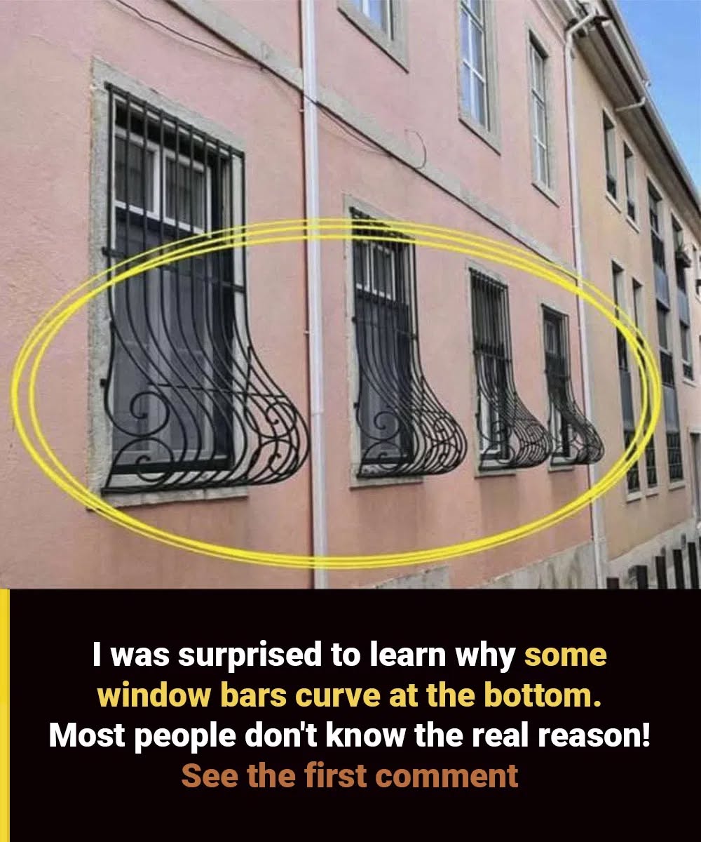 Why Do Some Window Grills Have Curves At The Bottom? The Answer Is ...